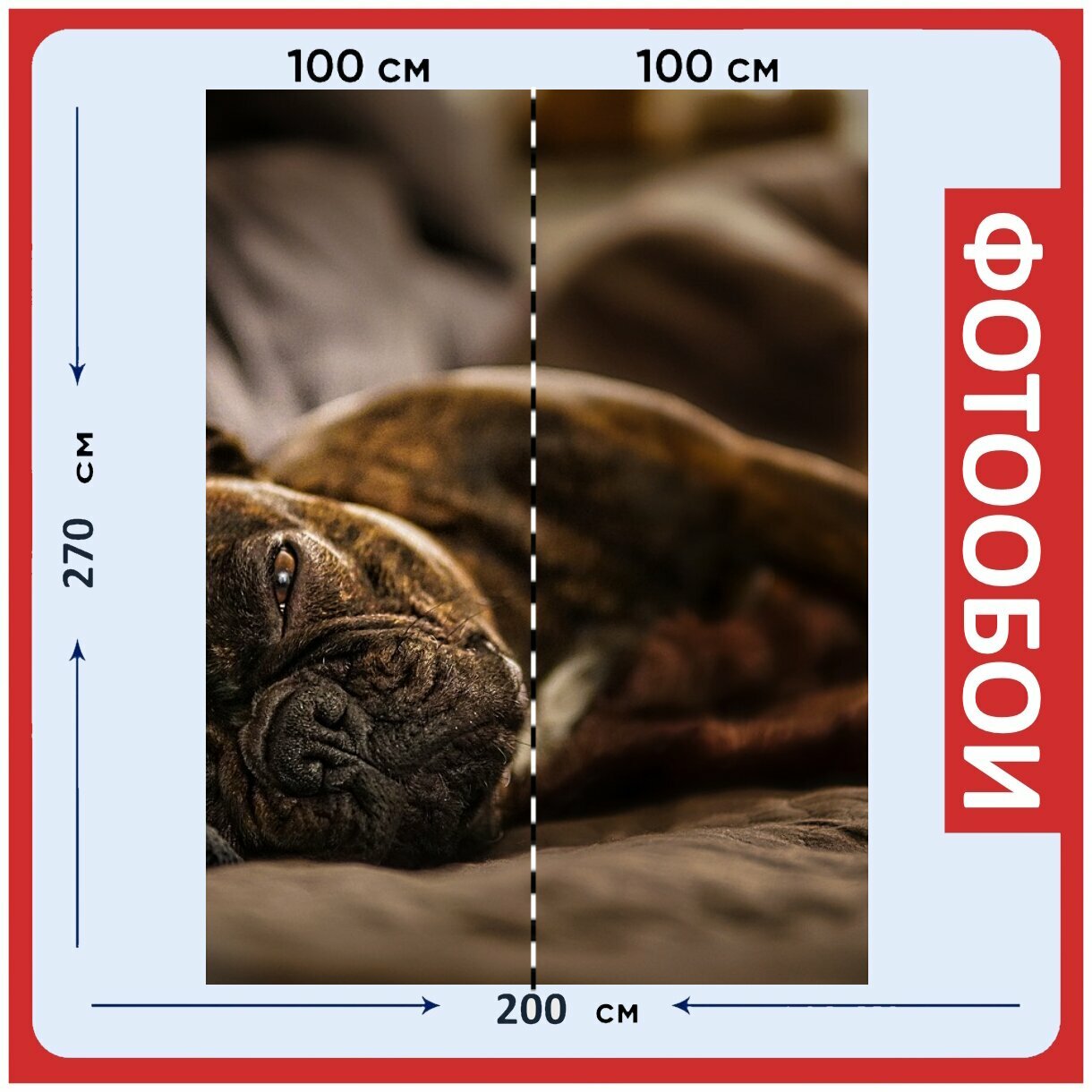 Фотообои "Французский бульдог, афон, собака" 200x270 см. флизелиновыена стену