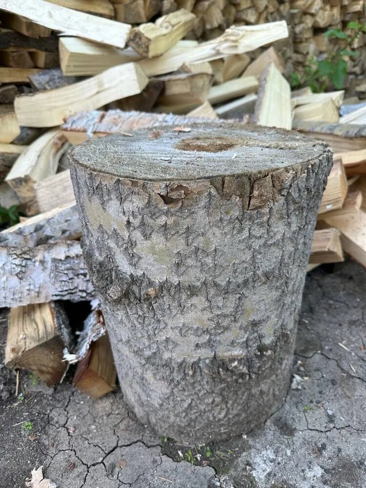 Чурочка осиновая 25 см длина, 30 см диаметр Свежая заготовка