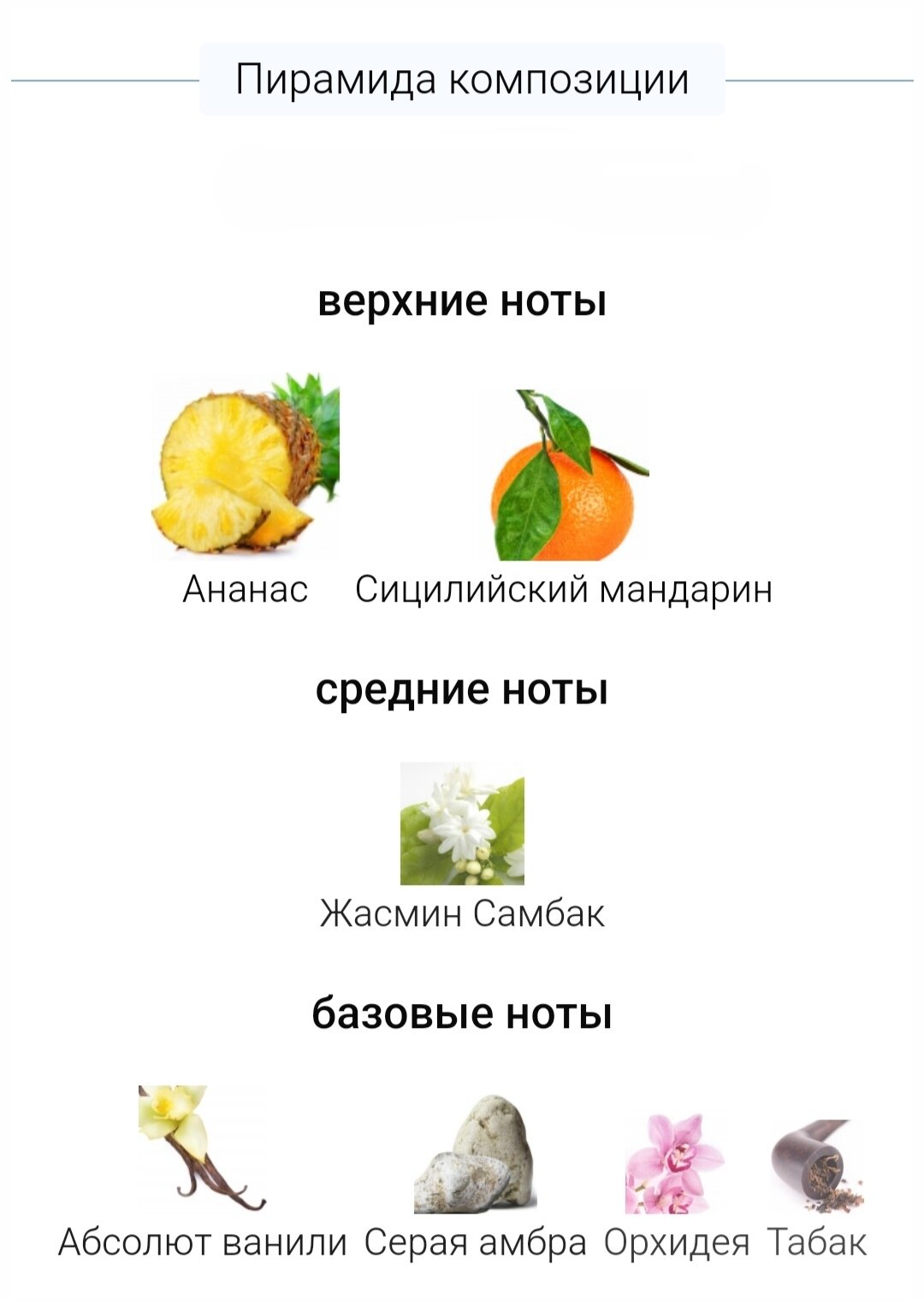 Духи Pineapple — фото 1