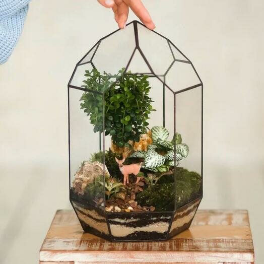 Флорариум "Лесной"