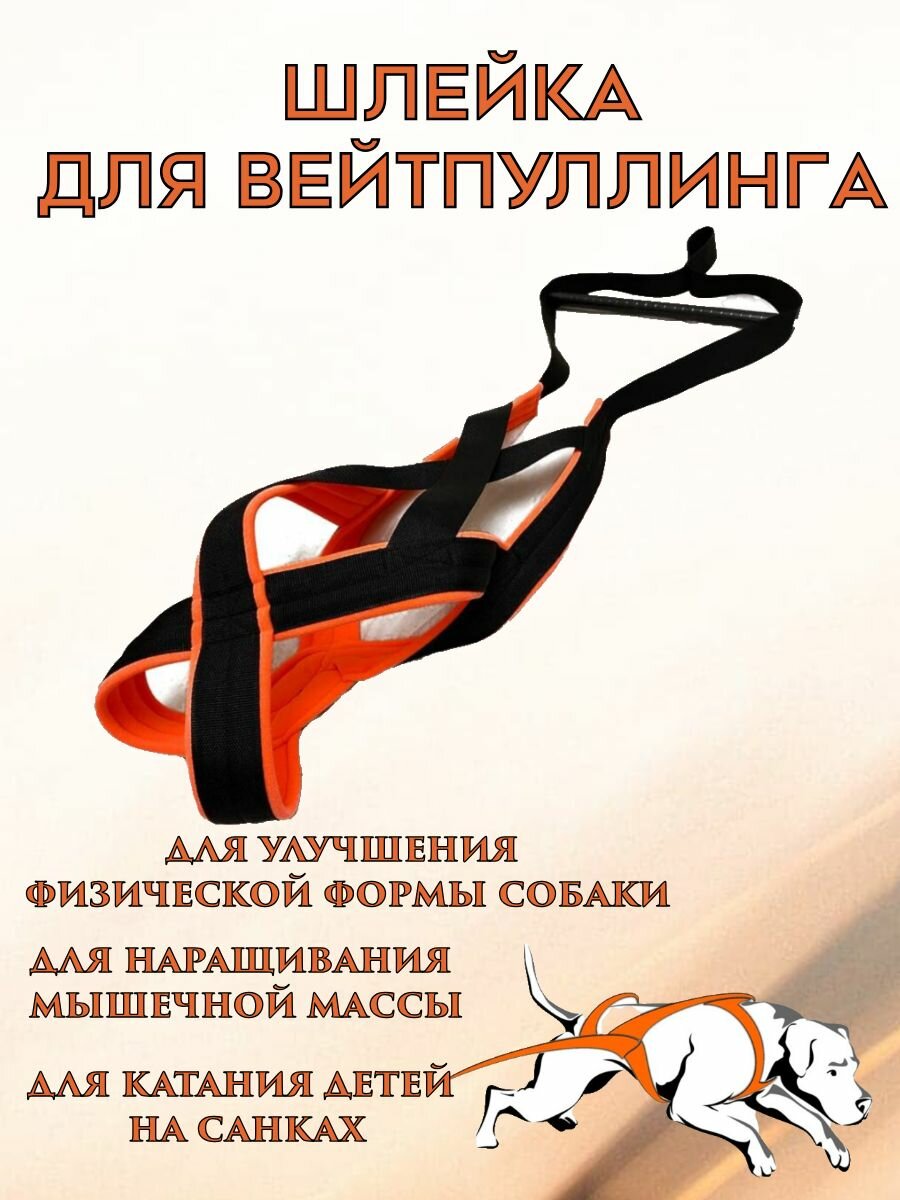 Шлейка для вейтпуллинга