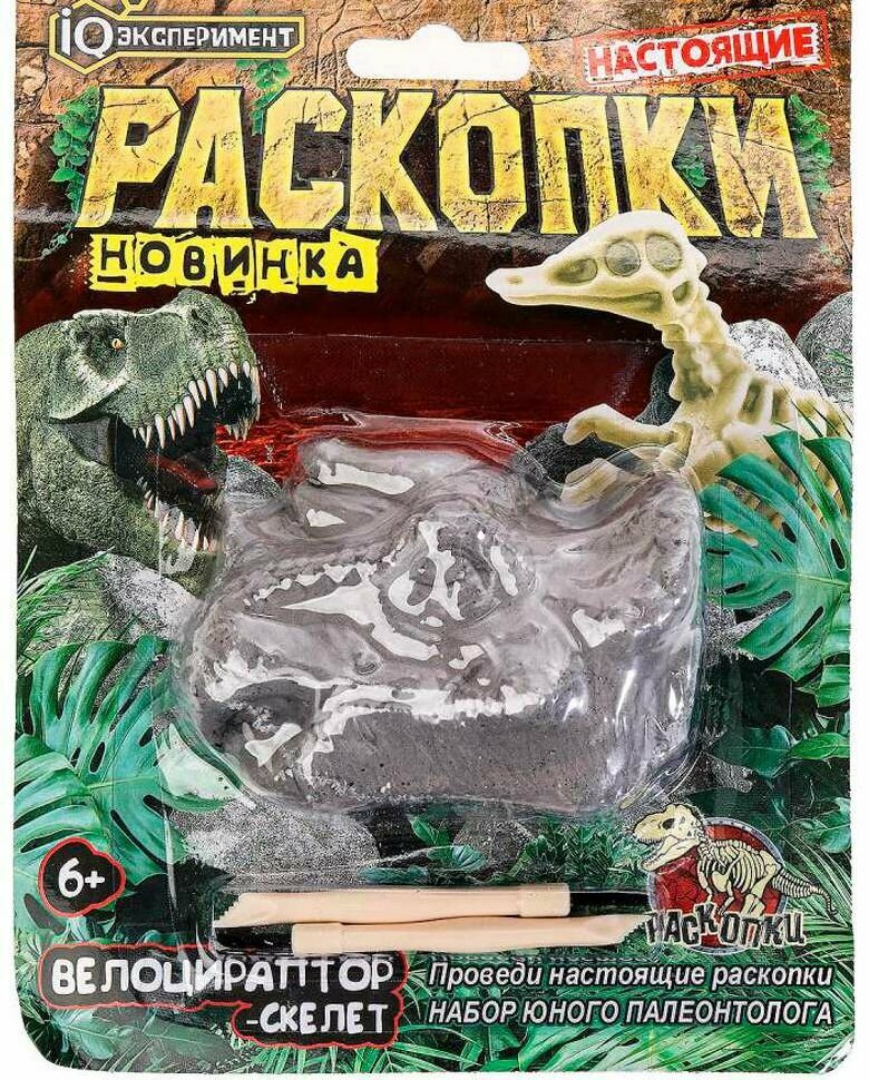 Детский набор для раскопок "Череп динозавра. Велоцираптор", сюжетно-ролевая игра юный археолог для исследований, в комплекте гипсовый слепок, инструменты