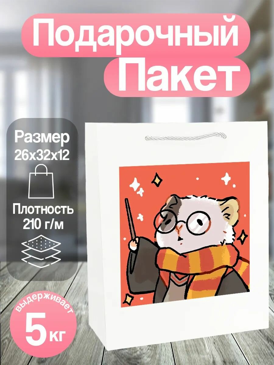 Пакет новогодний подарочный Гарри Поттер