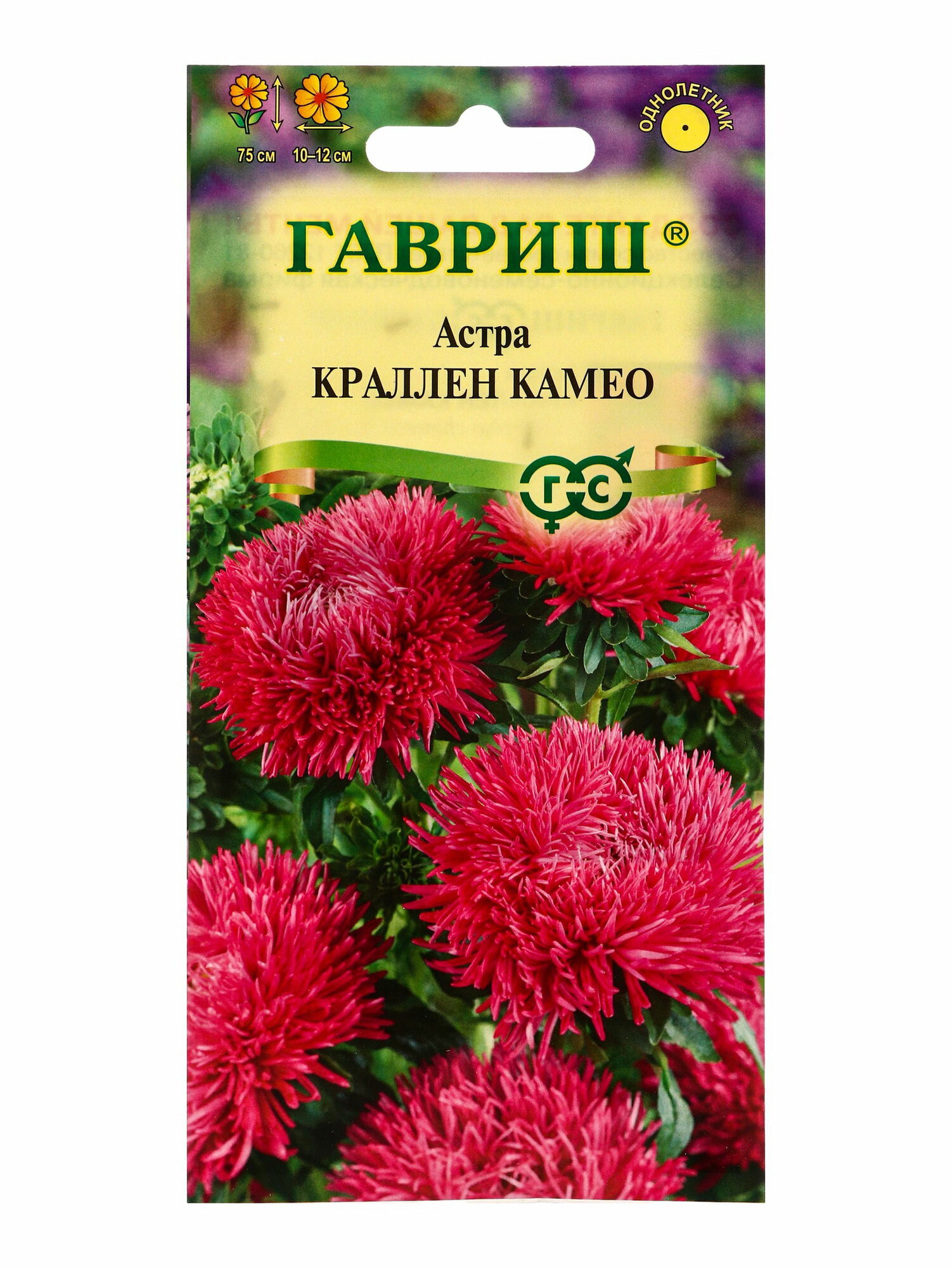 Семена цветов Астра однолетняя "Краллен Камео" 0.3 г, цветение период: август, 3 шт.
