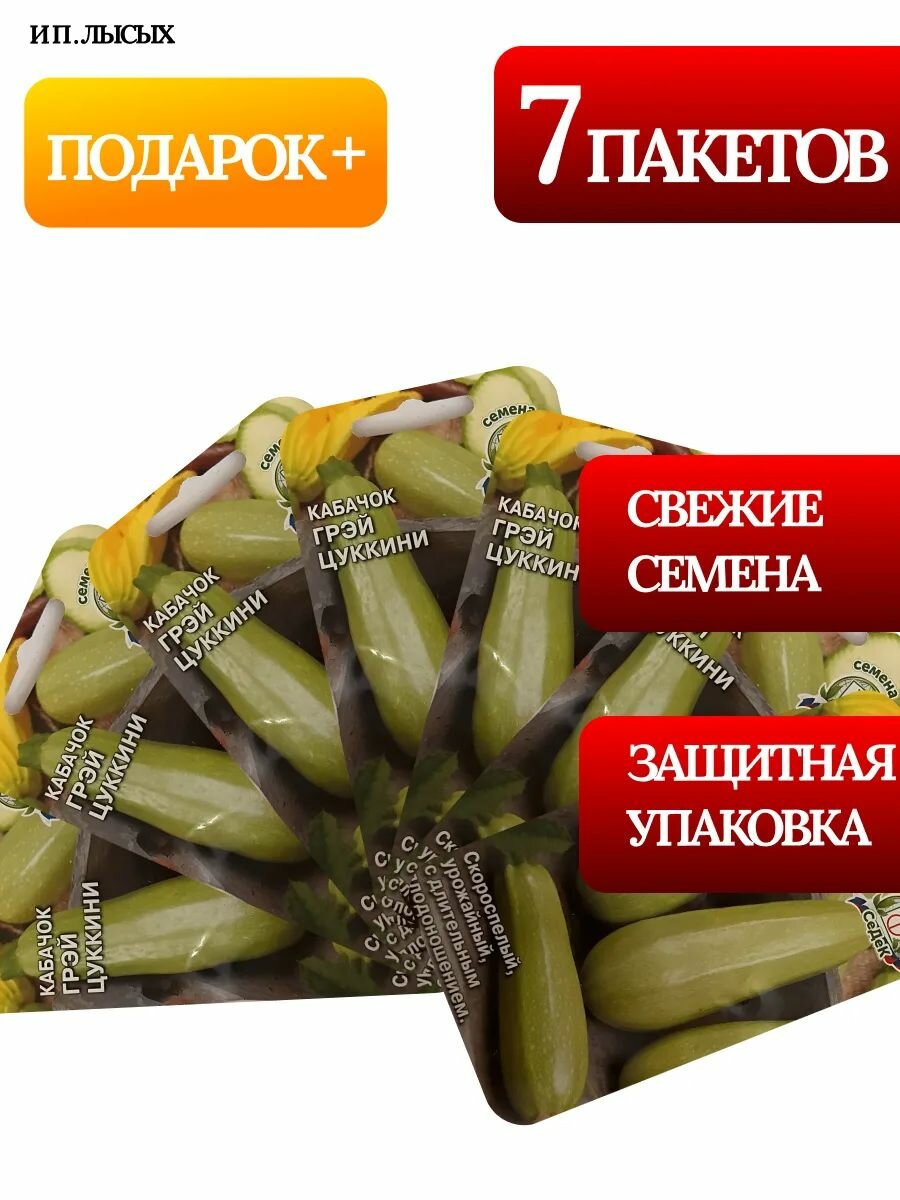 Семена Кабачок "Грэй Цуккини"