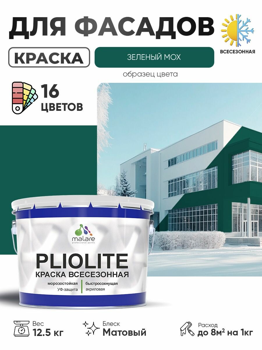 Краска-эмаль Pliolite всесезонная, зимняя, для всех типов поверхностей, антикоррозионная, RAL 6005, зелёный мох, матовая, 12,5 кг.