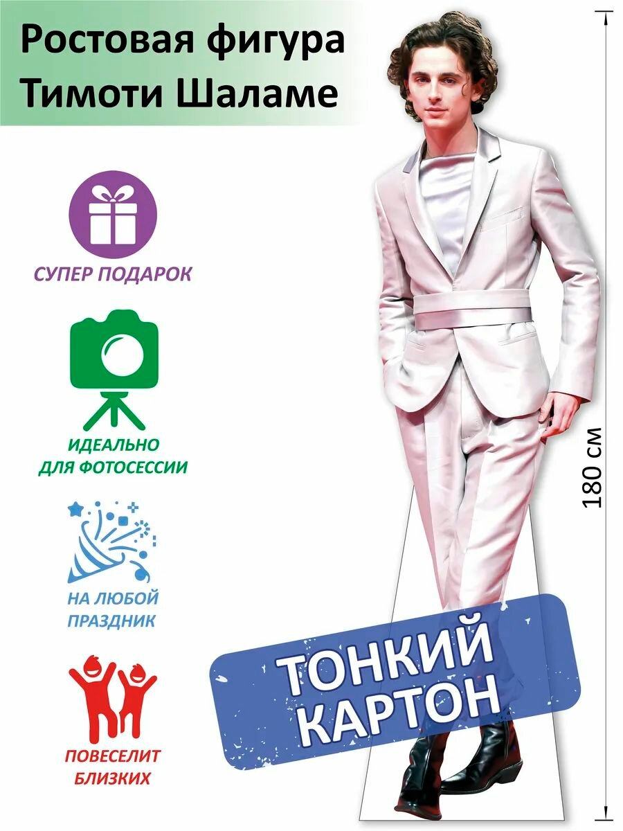 Тимоти Шаламе вид 10 Ростовая фигура, Тонкий картон, (Print100.ru)
