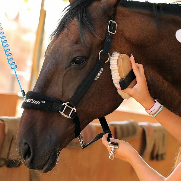 Недоуздок c 3мя карабинами на флисовых подложках GROOMING HALTER (размер Cob)