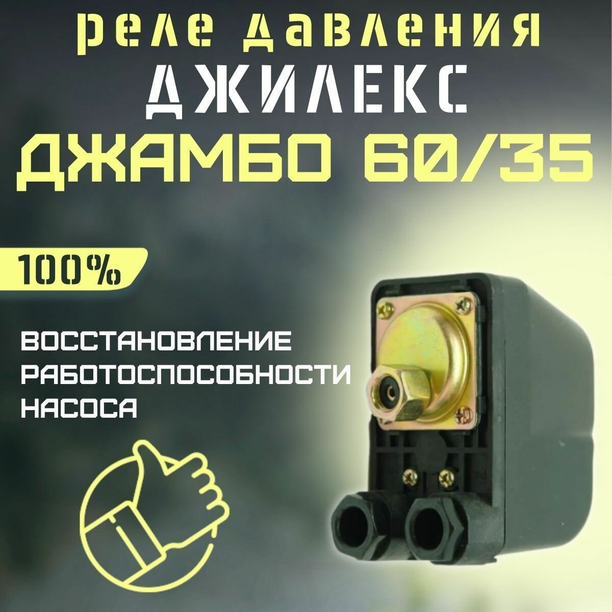 Реле давления для насосной станции Джилекс Джамбо 60/35 (reled6035)