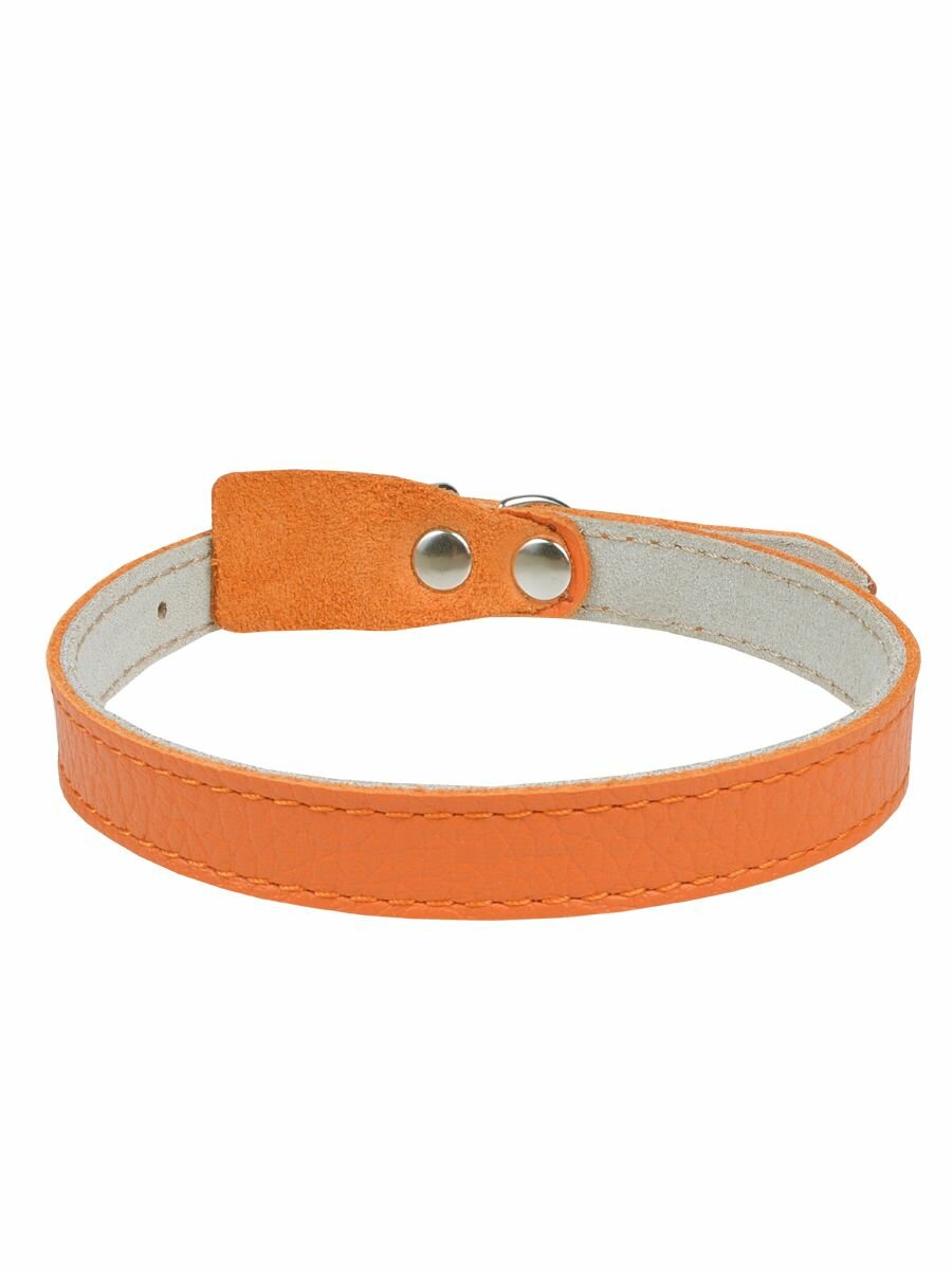 Ошейник кожаный двухслойный CHOKERZ для кошек и маленьких собак, на шею 24-30 см