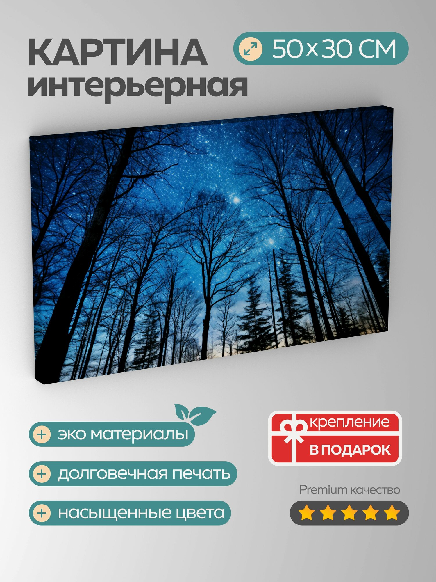 Картина на холсте интерьерная 50х30 см, фотография, звездное ночное небо, Млечный путь, горизонт, мерцающие звезды