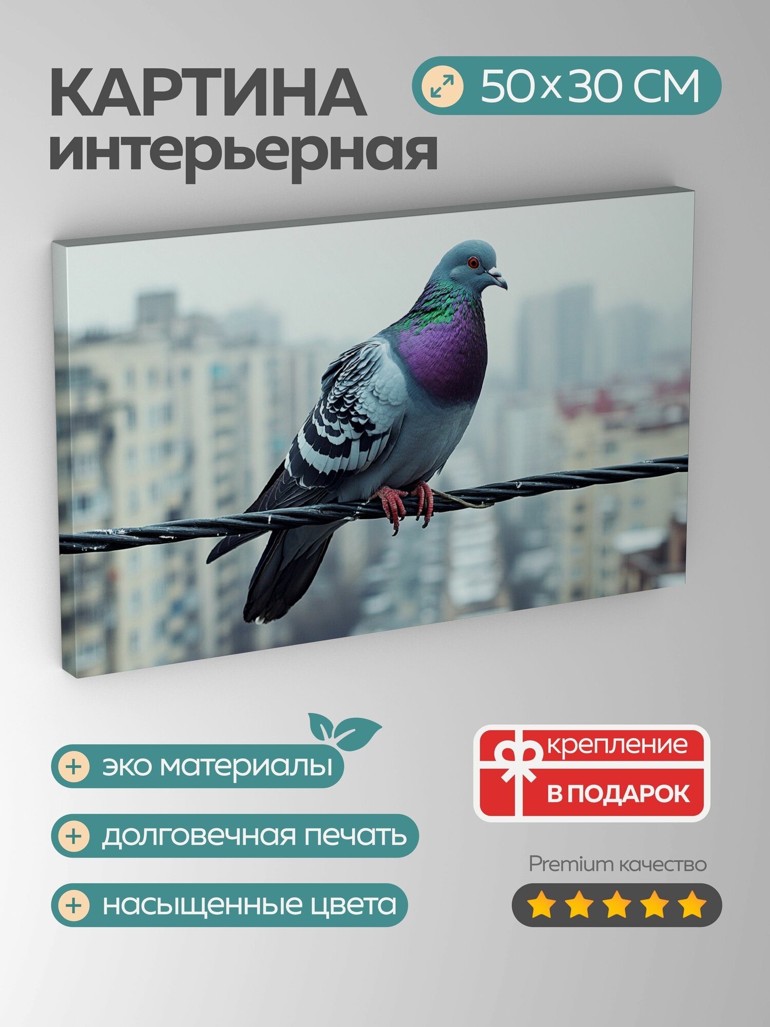 Картина на холсте интерьерная 50х30 см, голубь, проволока, фокус, оперение, городской пейзаж, природа, инфраструктура