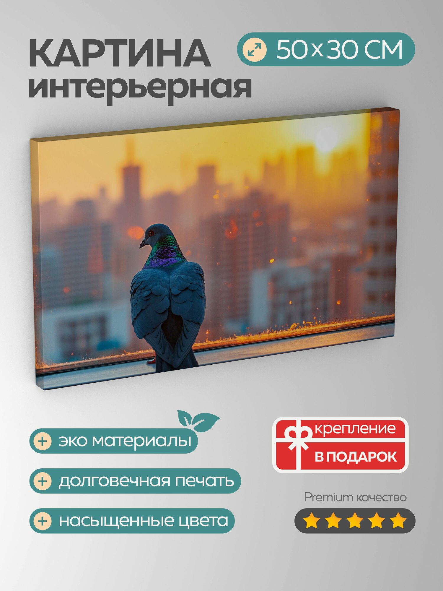 Картина на холсте интерьерная 50х30 см, Голубь, рамка, окно, городской пейзаж, перья, свет заходящего солнца, 2.8L I
