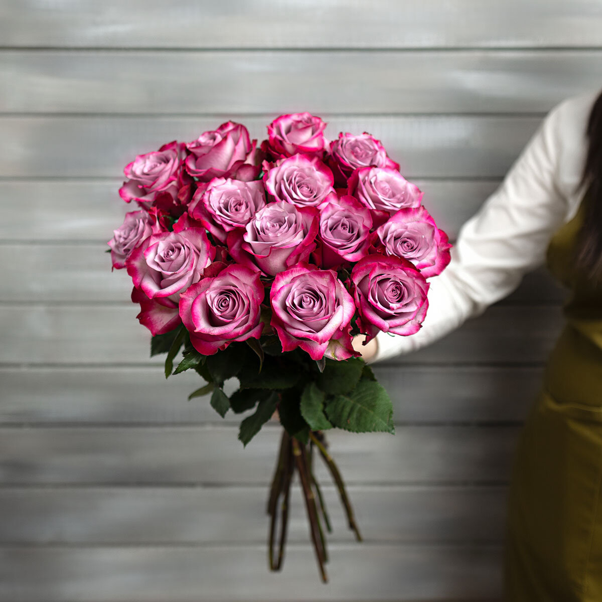 15 фиолетовых роз с лентой Эквадор 50 см