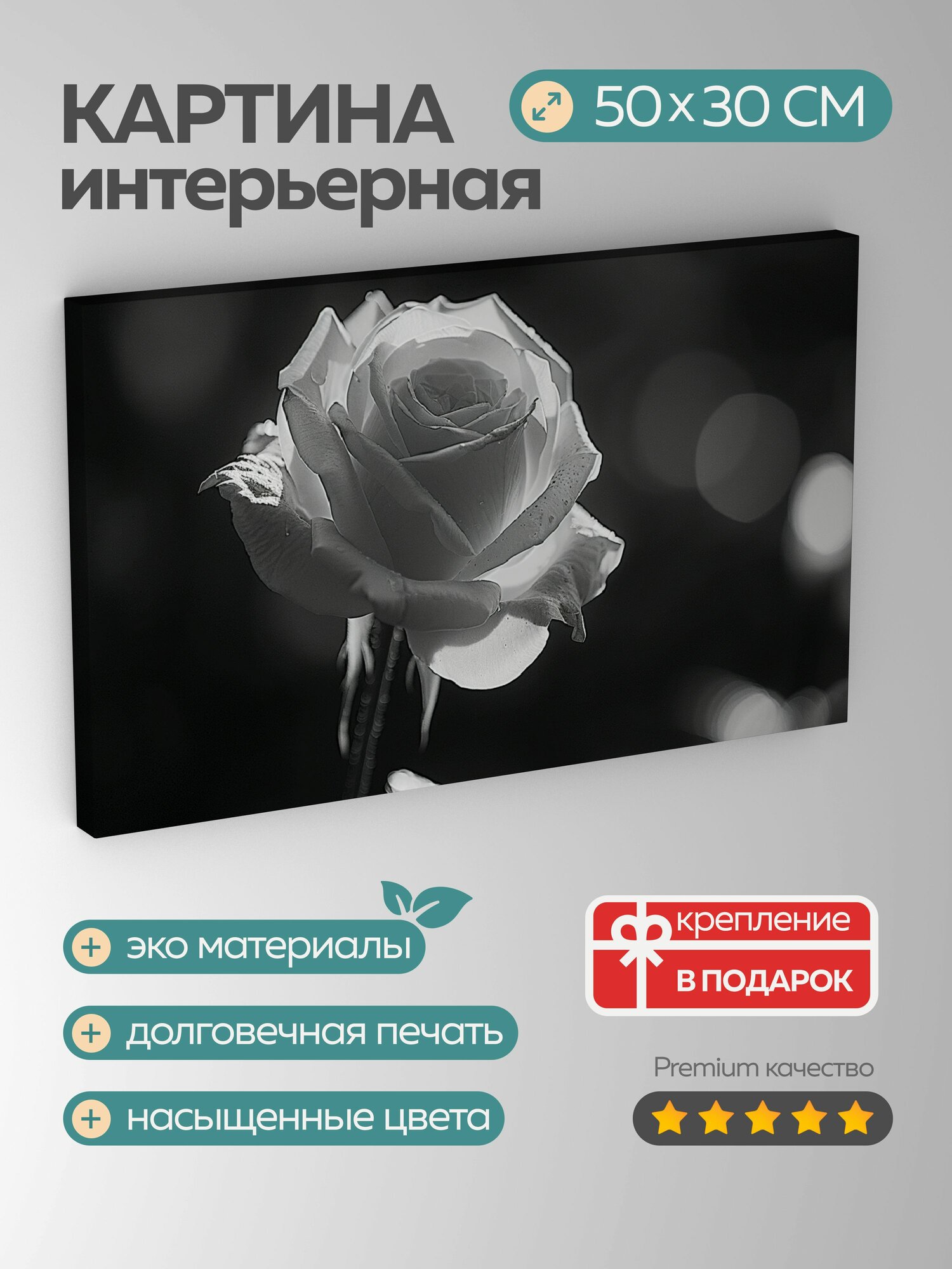 Картина на холсте интерьерная 50х30 см, черно-белая, фотография, белая роза, красота, элегантность, свет, тень, Canon