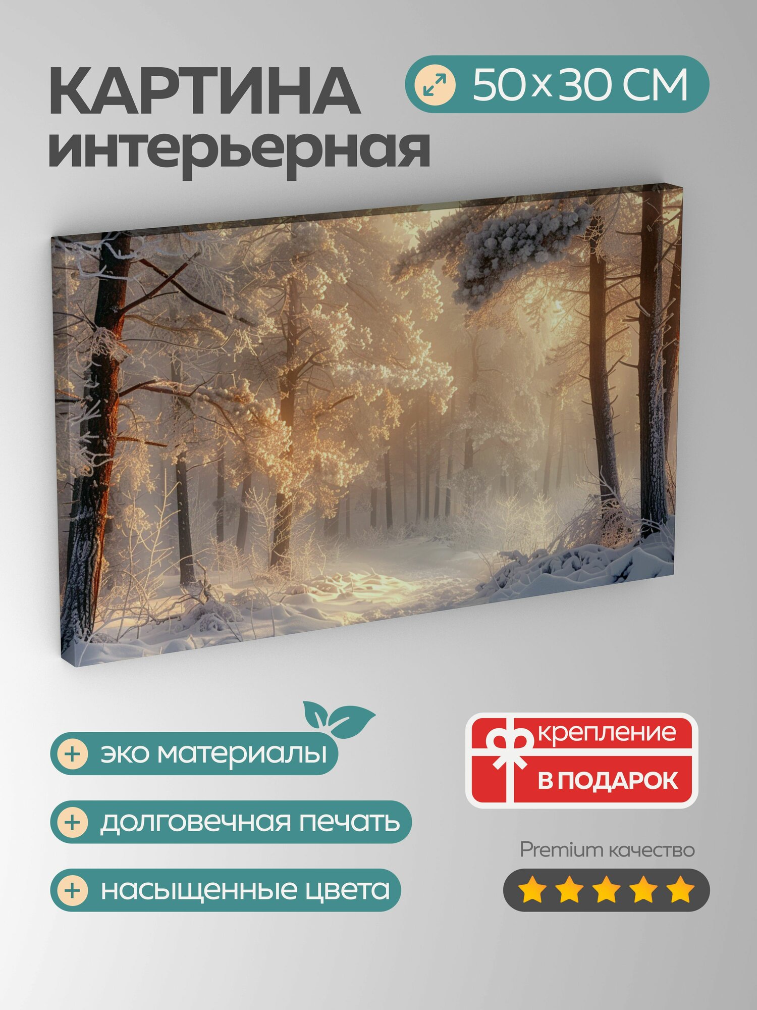 Картина на холсте интерьерная 50х30 см, фотография, заснеженный лес, рассвет, белый свет, иней, деревья, высокие