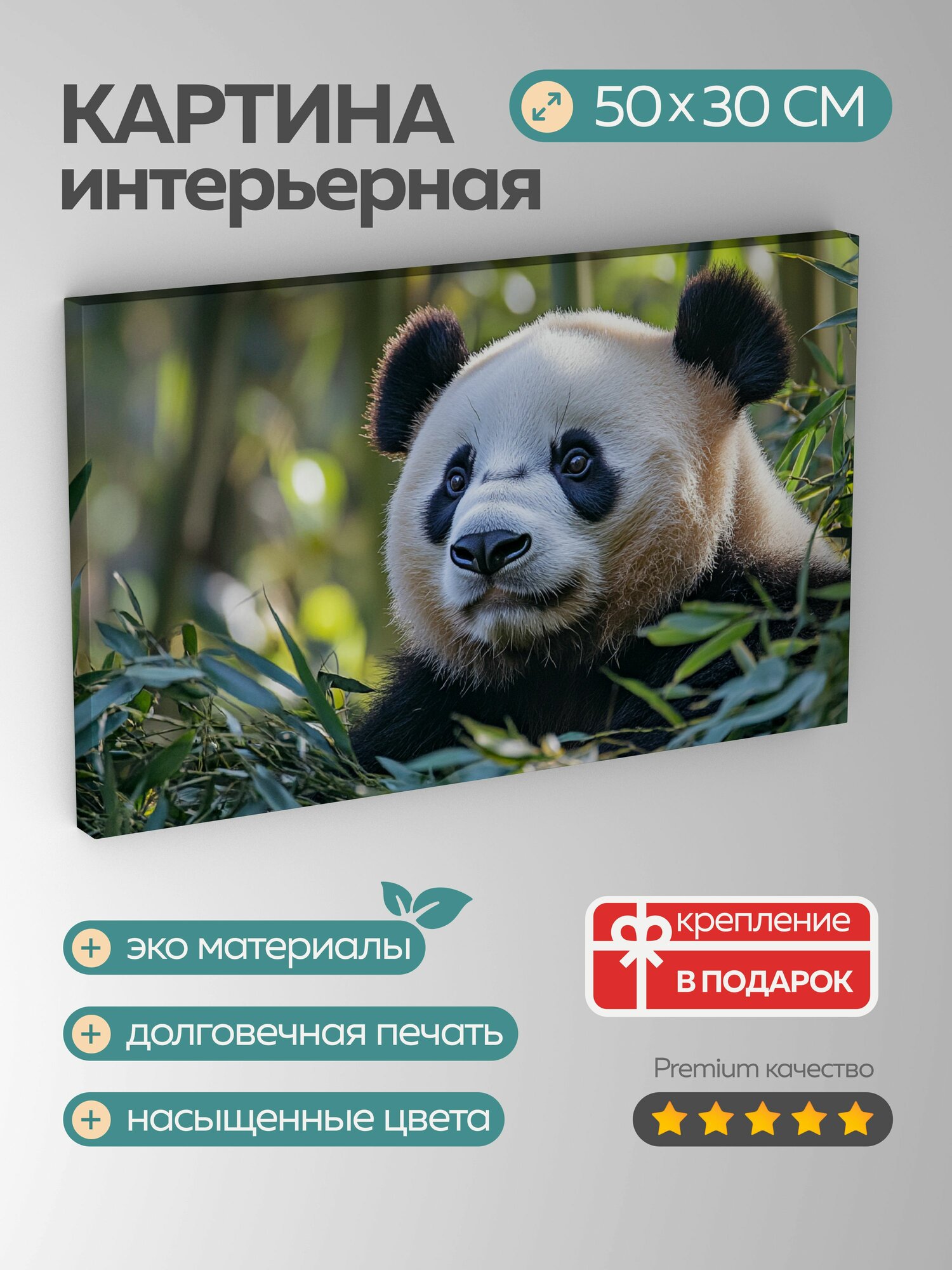 Картина на холсте интерьерная 50х30 см, панда, бамбук, природа, мудрость, долголетие, Canon, фотография, разрешение