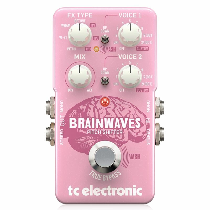 TC Electronic Brainwaves Pitch Shifter