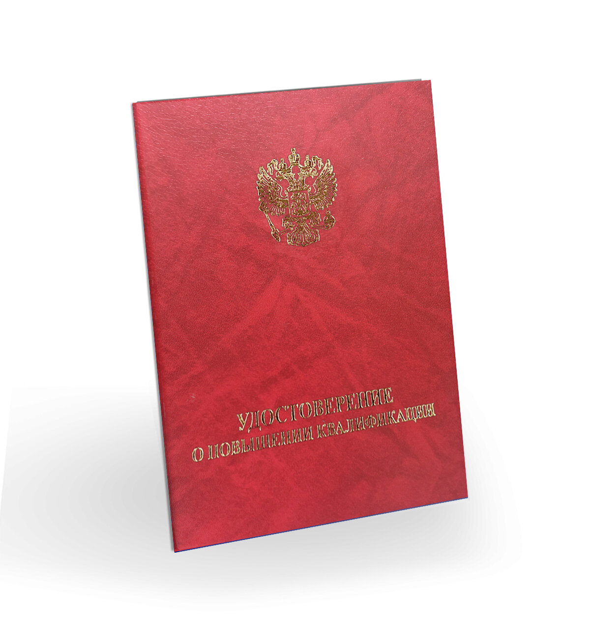 Обложка для диплома об образовании