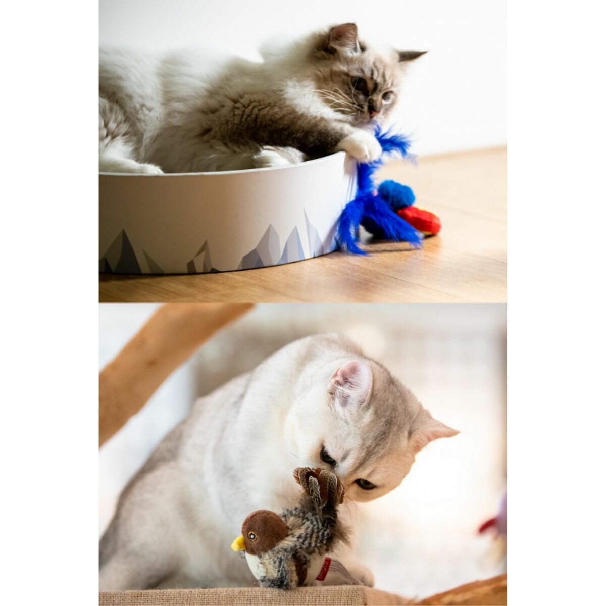 Игрушка для кошек пчела — фото 1