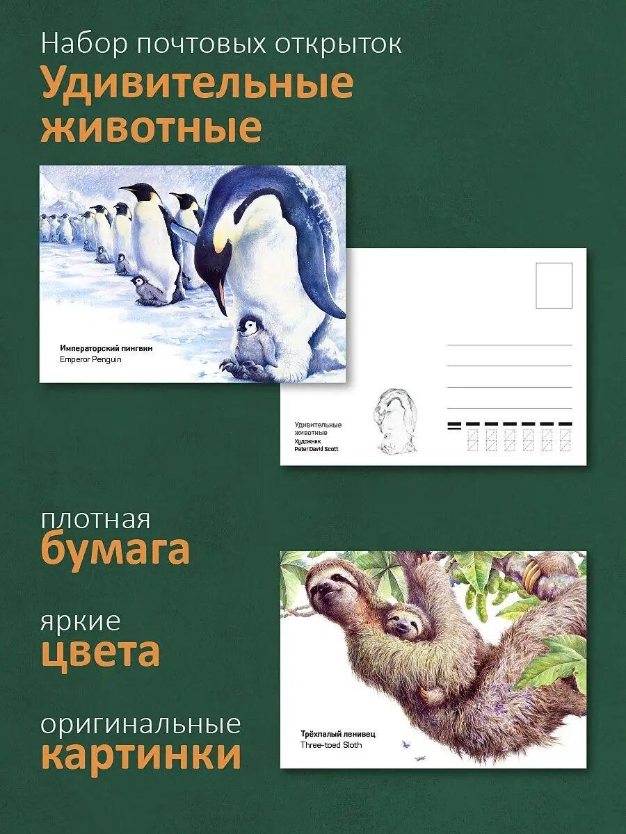 Почтовые открытки "Удивительные животные" для посткроссинга, 10 шт.