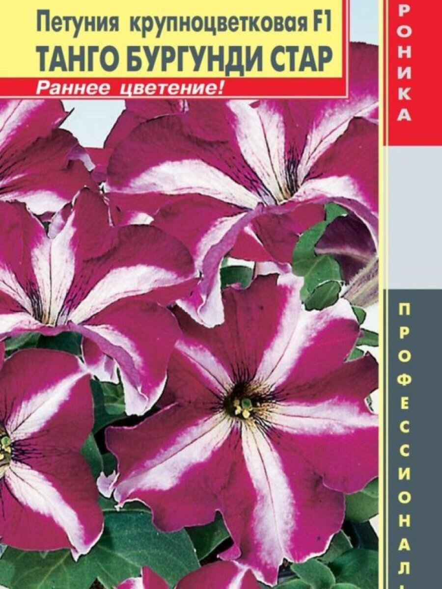 Петуния Бургунди Стар крупноцветковая F1 (серия Tango) 10драже в пробирке, Плазменные семена