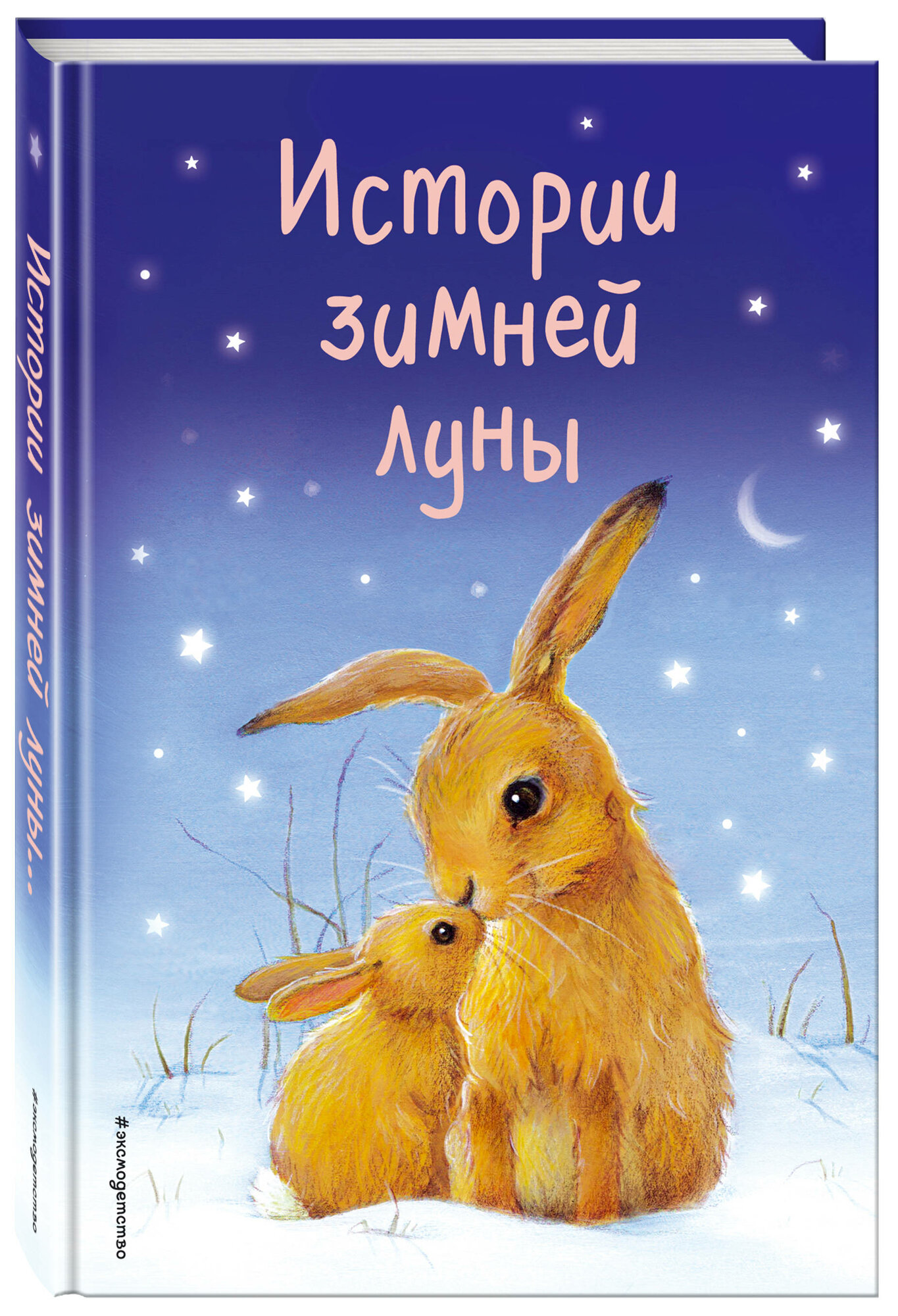 Холли Вебб и др. Истории зимней луны (выпуск 5)