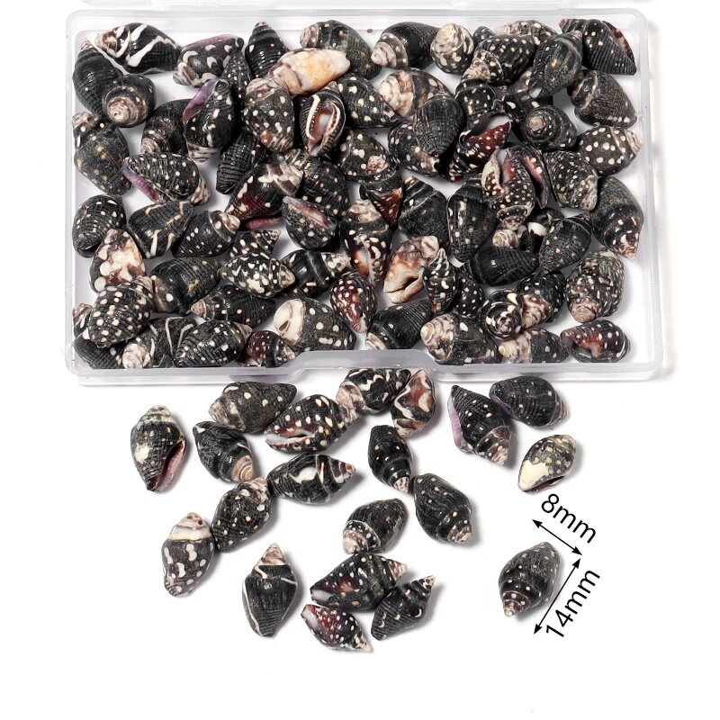 1 Коробка Морских Спиральных Ракушек, Маленькие Прибрежные Раковины, Декор Для Аквариума, Аксессуар Для Ландшафтного Дизайна