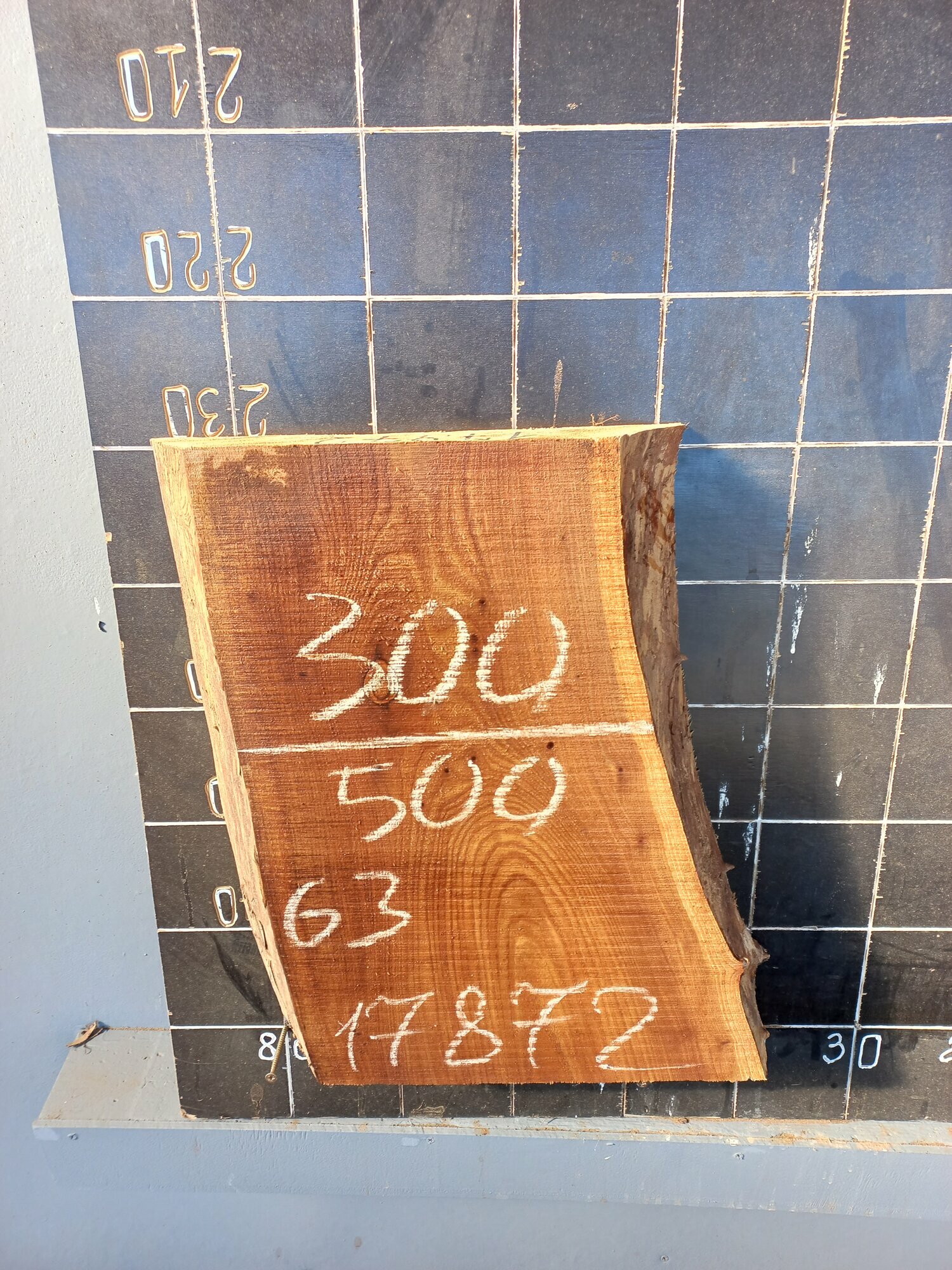 Слэб натурального дерева ценных пород Карагач №17872, 6*30*50 см, доклес