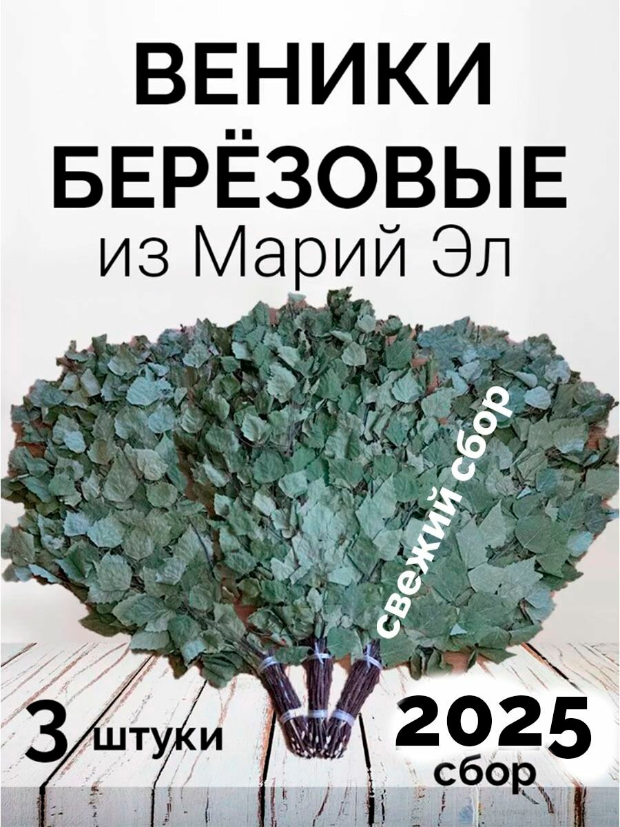 Веник березовый для бани 3 штуки Марий Эл, сбор 2025 года