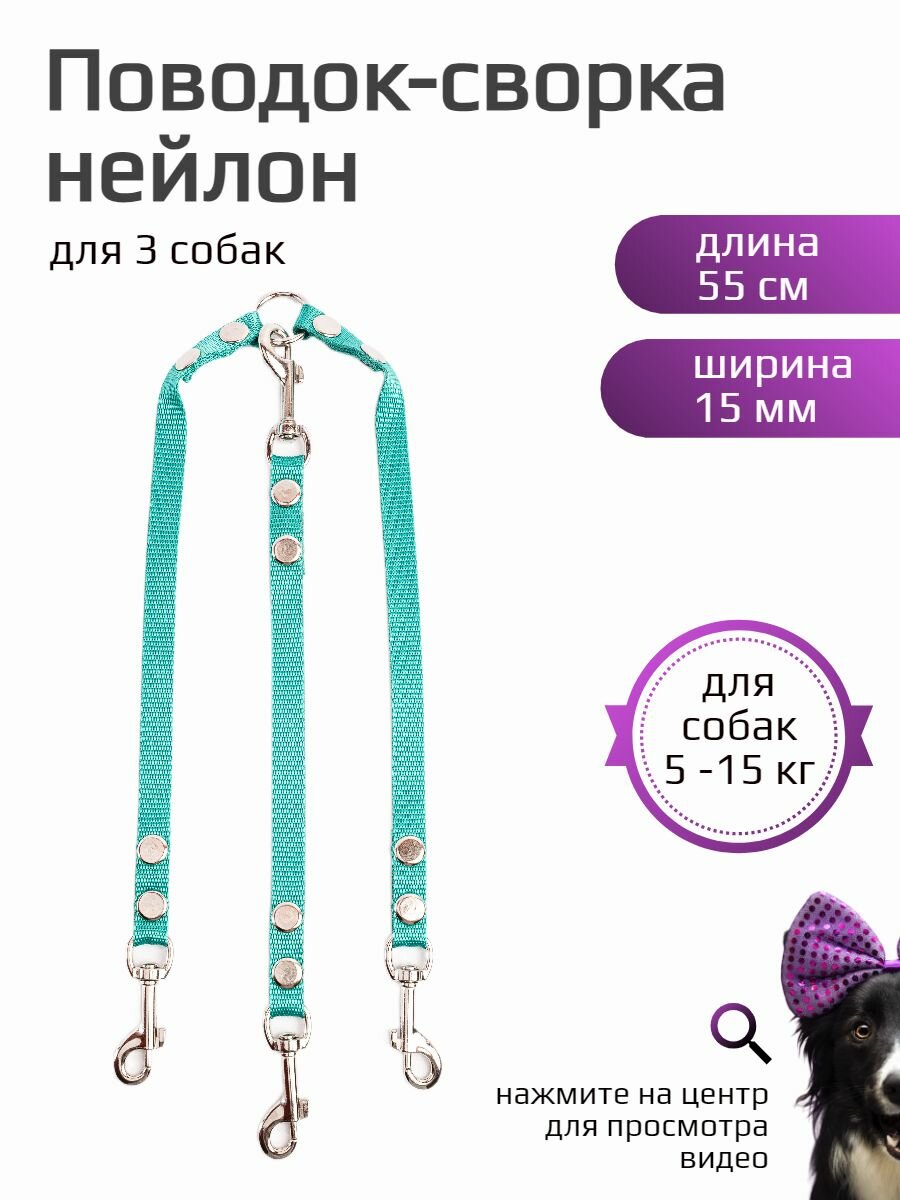 Сворка Хвостатыч для трёх собак нейлон 55 см х 15 мм (бирюзовый)