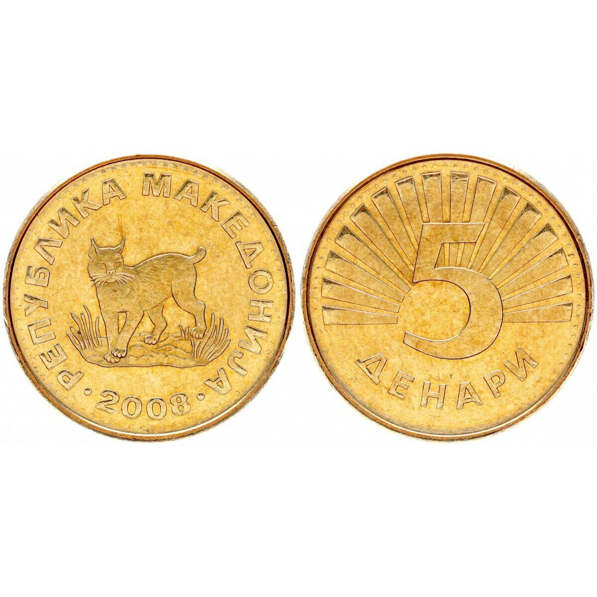 Северная Македония 5 Денар 2008 год UNC KM# 4 Балканская рысь (BOX738)