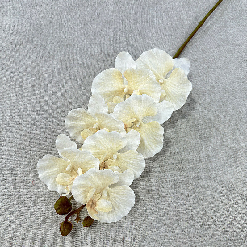 Artificial plant butterfly orchid for photography studio use with stylish color options for home decor champagne