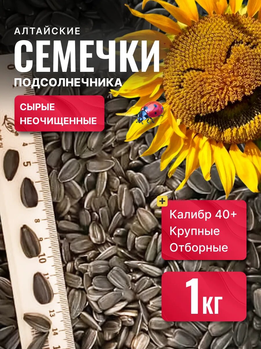 Семечки подсолнечника Алтайские сырые 1 кг, крупные
