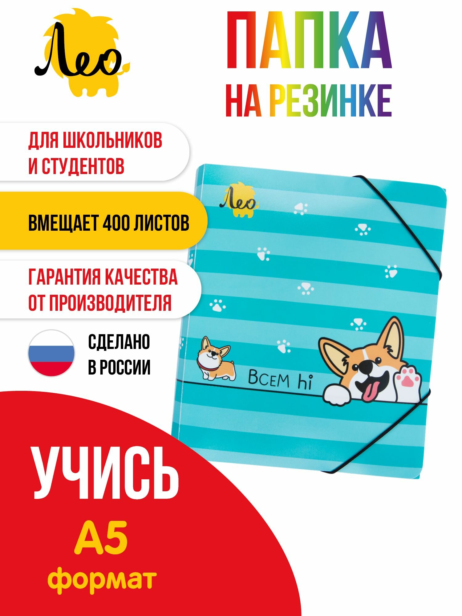 Папки на резинке "Лео" "Учись" A5 LRF-07 450 мкм 25 мм песок 6 шт. 04-Корги