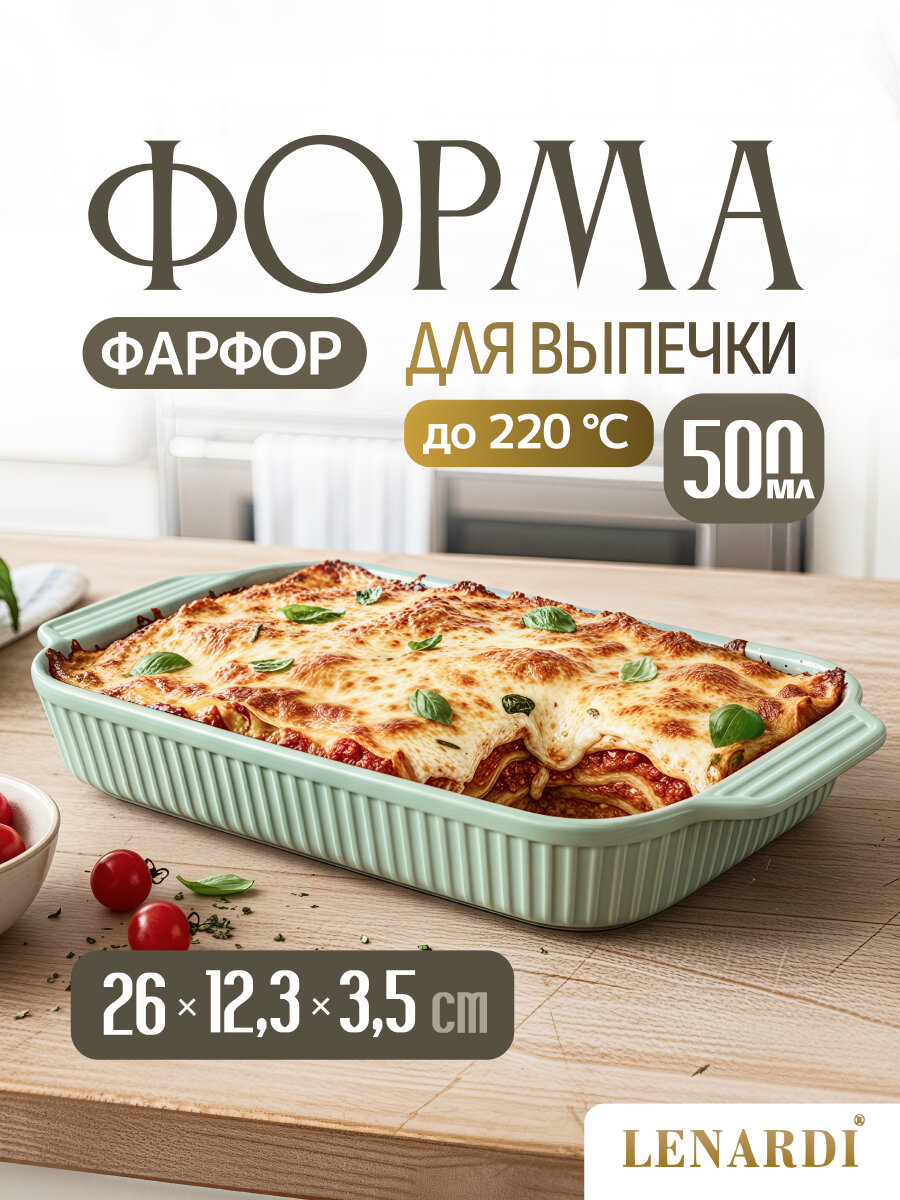 Форма для запекания с ручками . прямоугольная (блюдо) 22 см. В подарочной упаковке. Фарфор. Lenardi