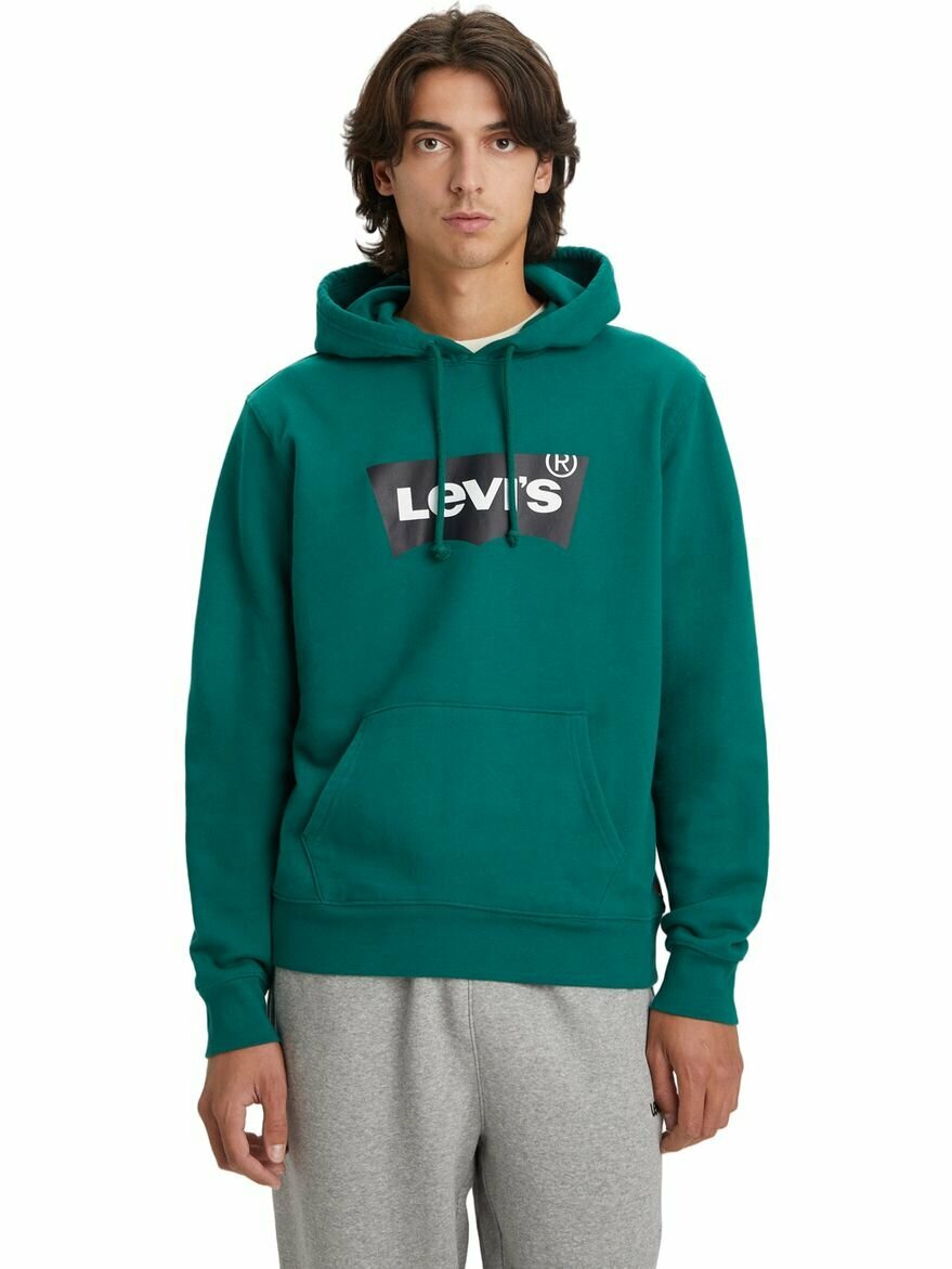 Худи Men Standard Graphic Hoodie