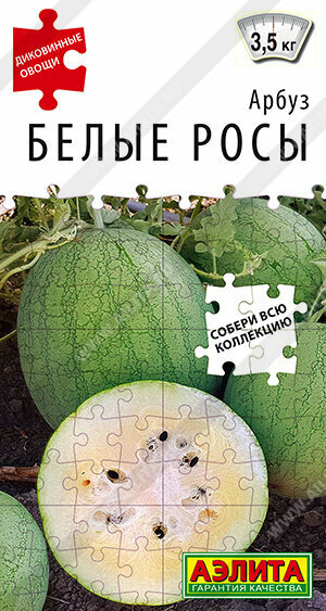 Семена арбуза аэлита "Белые росы", ультраранний сорт, мякоть нежная, светлая, 5 штук