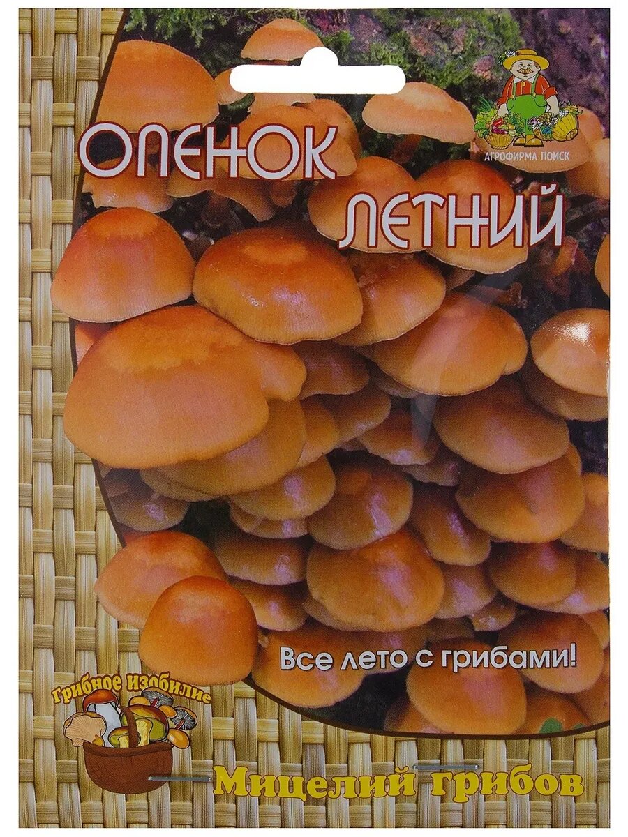 Мицелий грибов Опёнок летний на деревянных палочках 12 шт