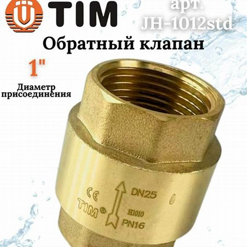 Обратный клапан с латунным штоком, внутренняя/внутренняя резьба, 1" (стандарт)