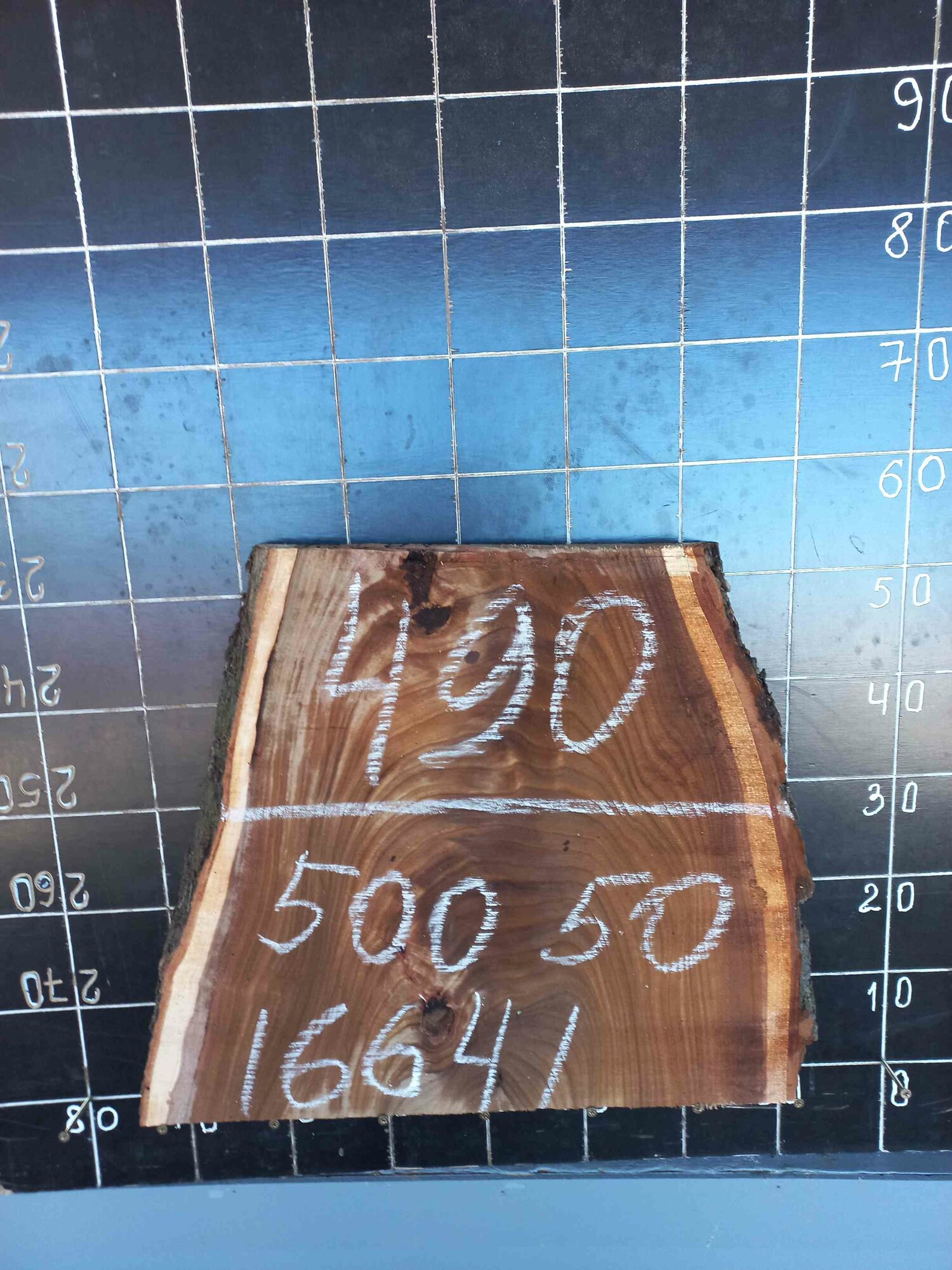 Слэб доклес №16641 "Карагач", цельный, антисептированный, 5x49x50 см