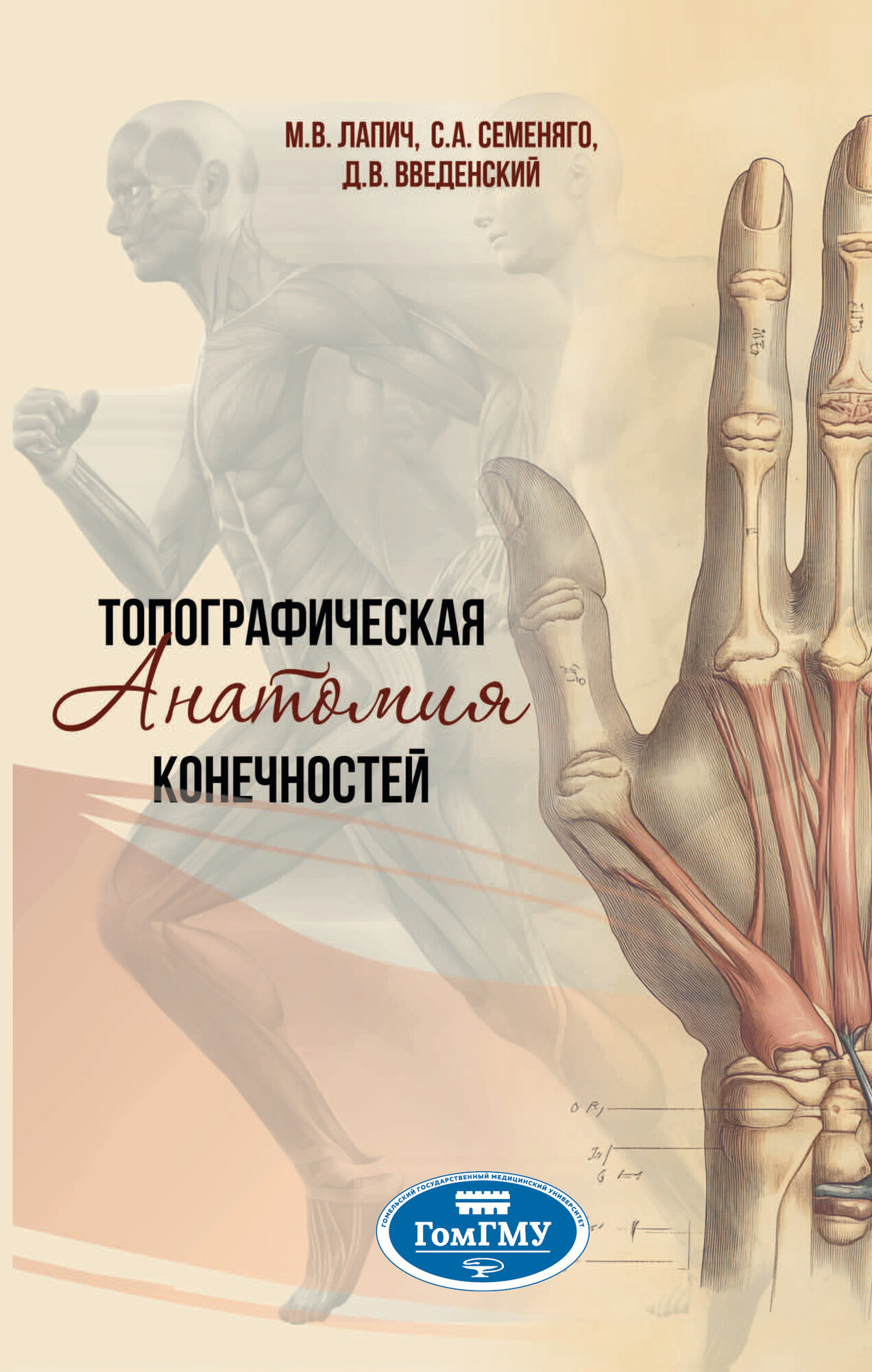 Топографическая анатомия конечностей: Уч. мет. пос./Лапич М. В, Семеняго С. А, Введенский Д. В.-М: НИЦ ИНФРА-М,2026.-112 с.