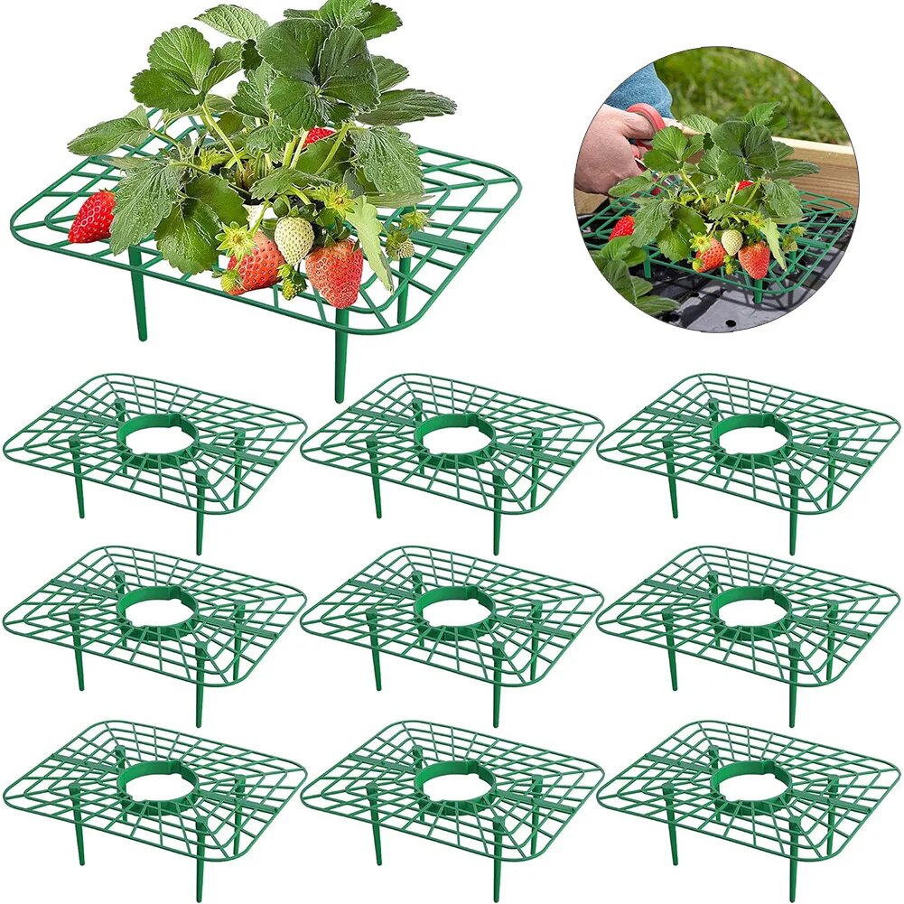 Квадратная подставка для клубники, пластик, 10 шт 5pcs