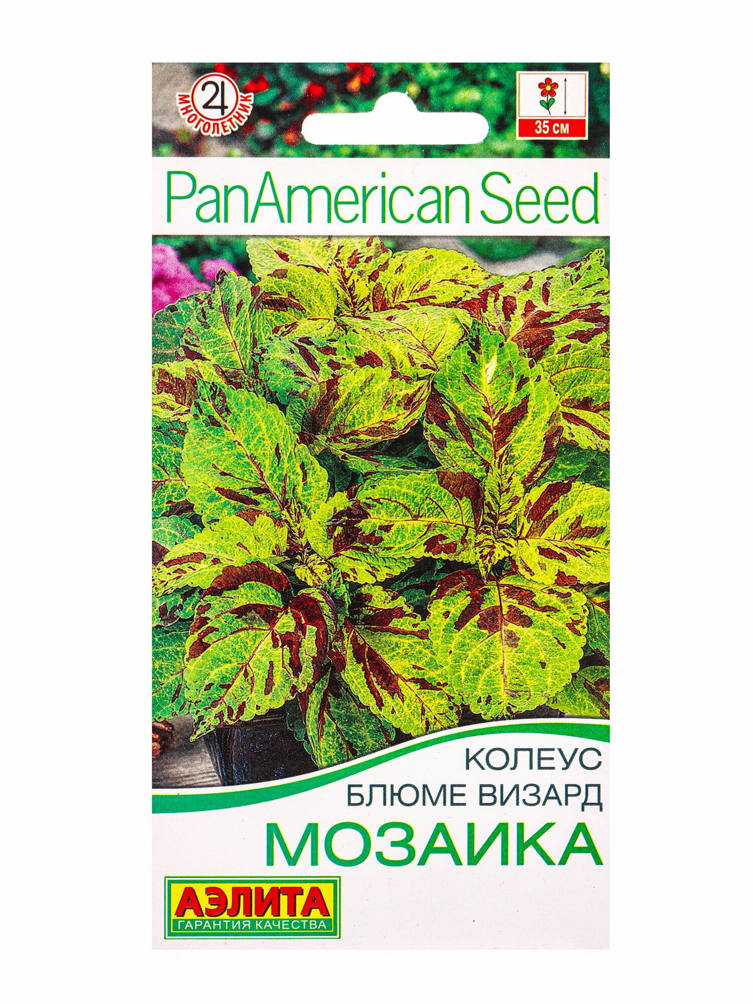 Семена цветов Колеус блюме Мозаика Мн Спецсерия PanAmerican, Ц/П,5 шт.