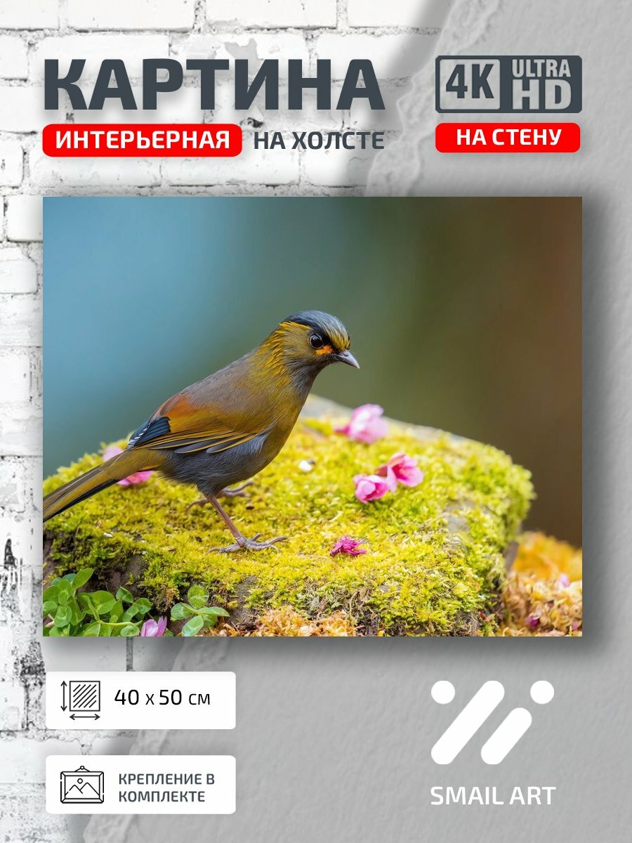 Картина на холсте интерьерная 40 на 50 на стену Птица bird для гостиной пейзаж интерьер
