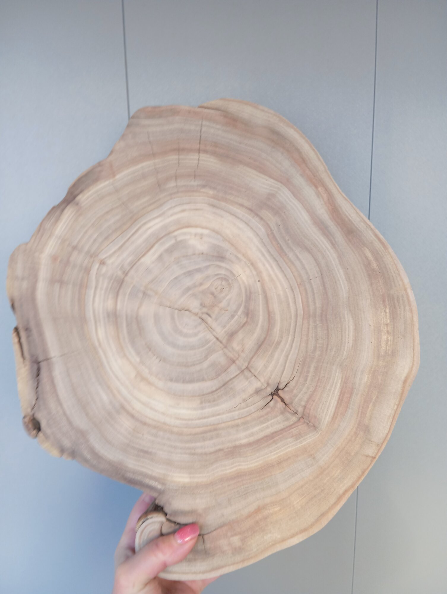 Спил дерева карагач, заготовка, столешница 36*30*4,5см