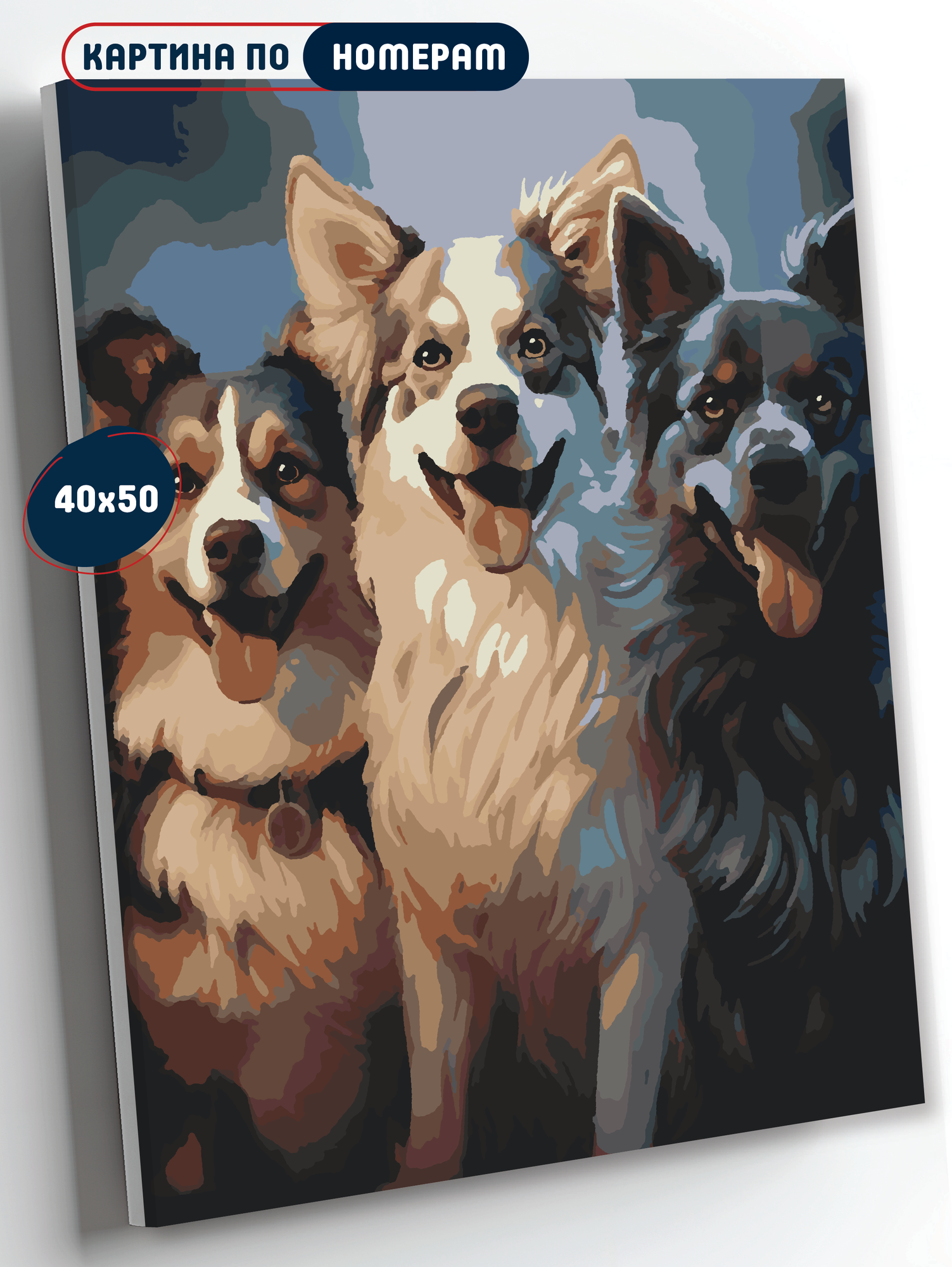 Картина по номерам "Три собачки", Холст на подрамнике 40х50, набор для рисования, с собакой