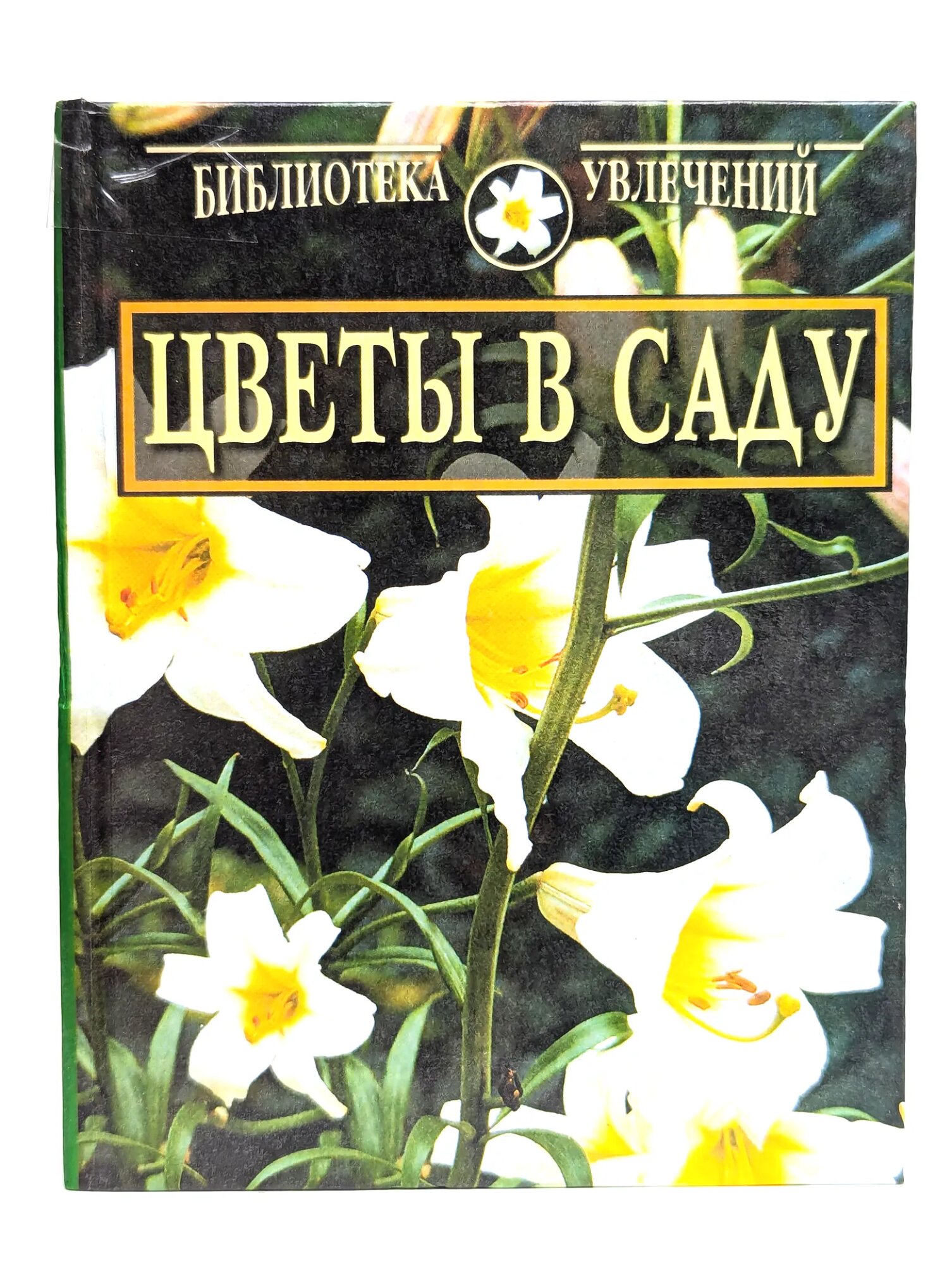 Цветы в саду сост. Юдина И. А. 2002