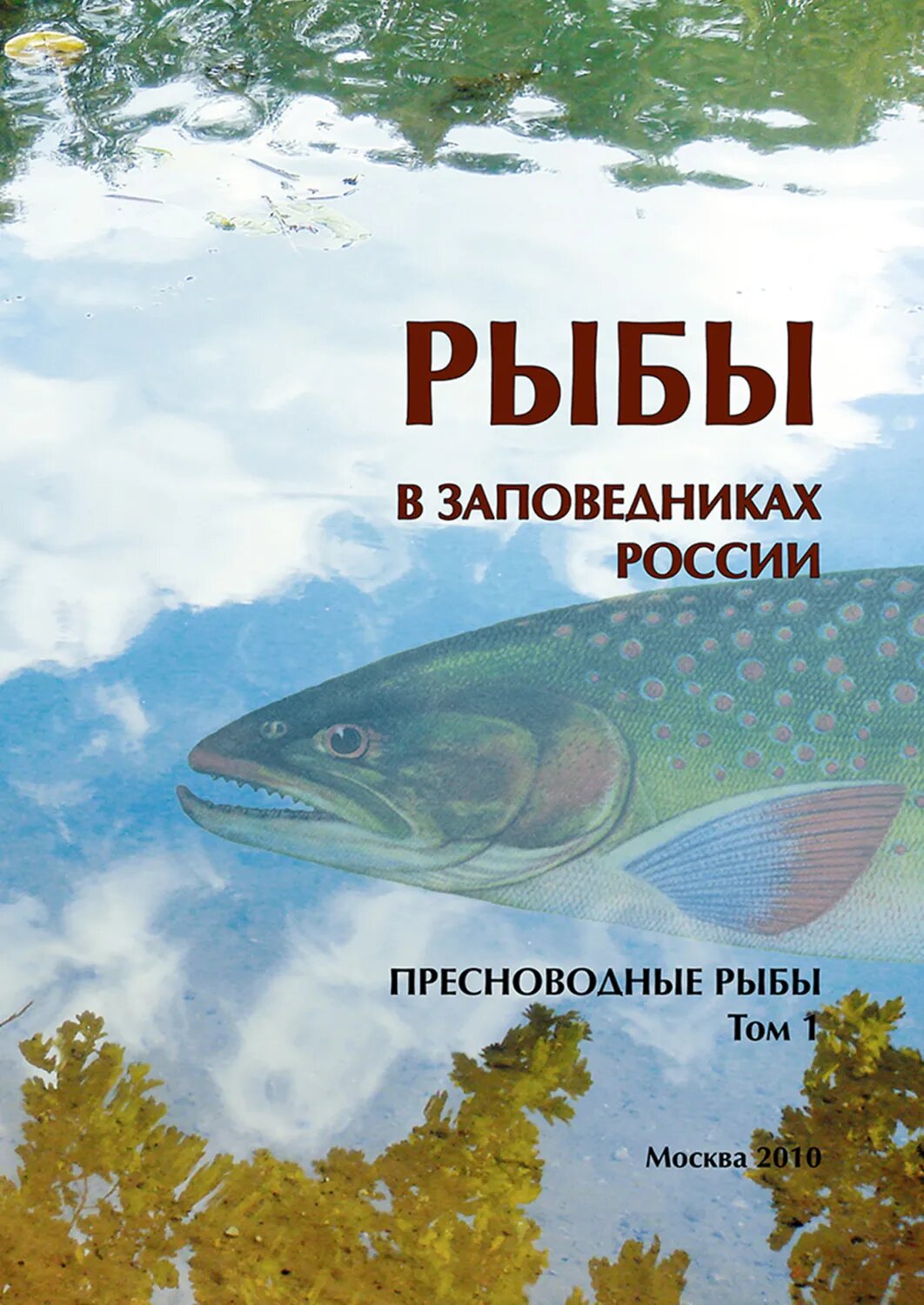 Рыбы в заповедниках России. Том 1. Пресноводные рыбы [Цифровая книга]