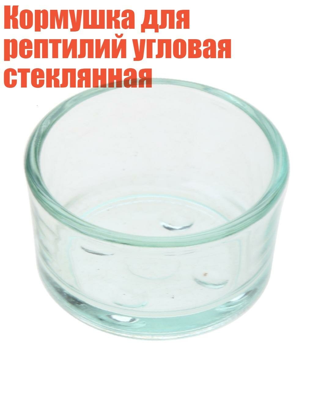Кормушка для рептилий угловая стеклянная